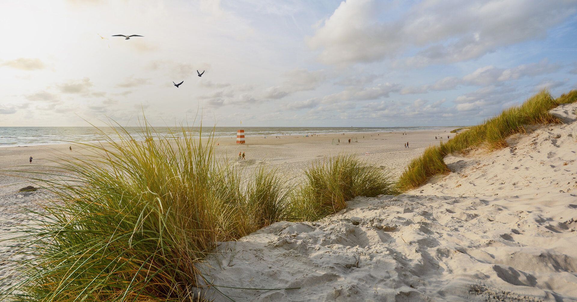 Anreise zum Dorint Strandresort & Spa Sylt/Westerland: So erreichen Sie uns stressfrei
